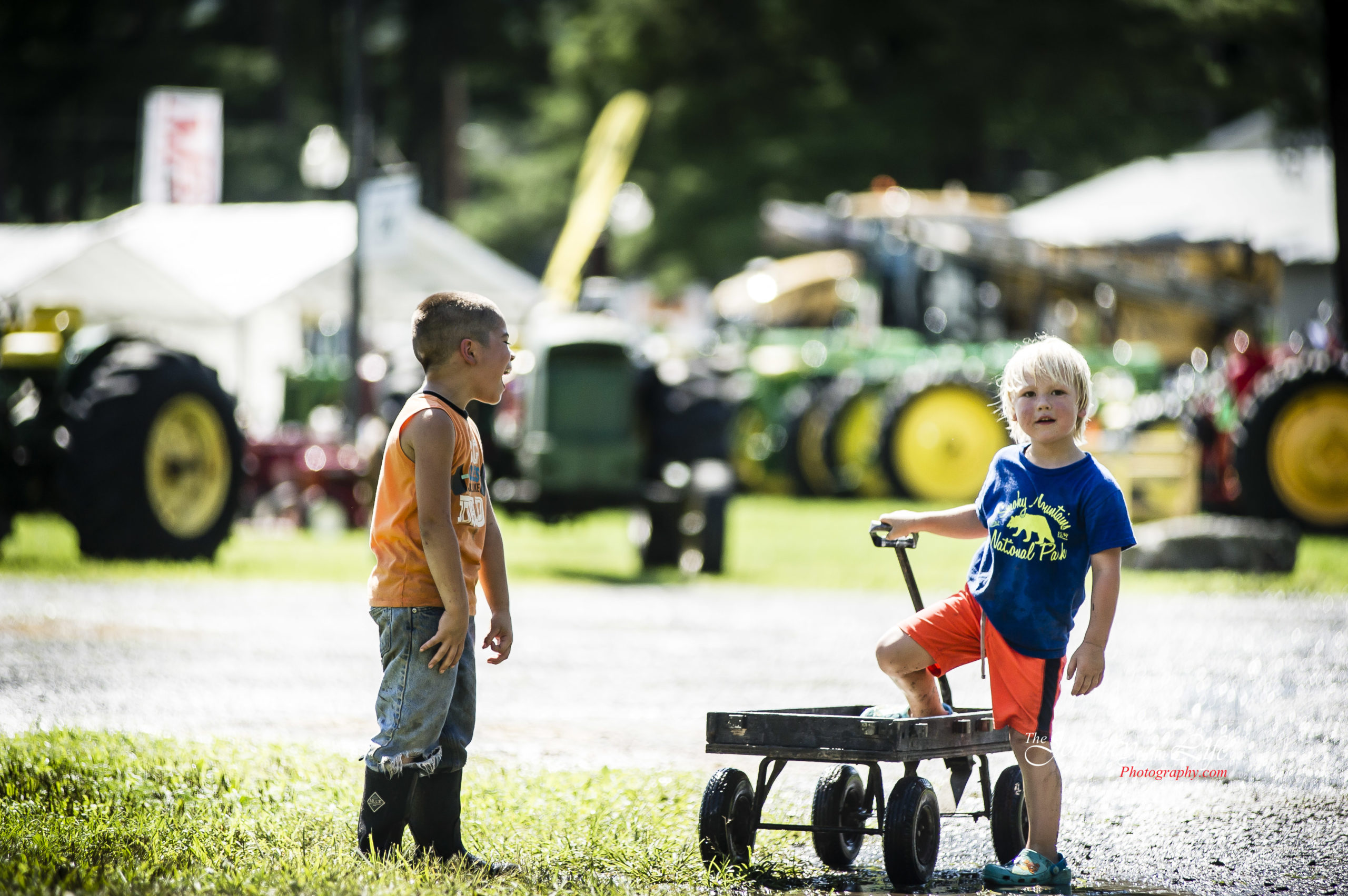 Summer Fair · The Journey is the Life